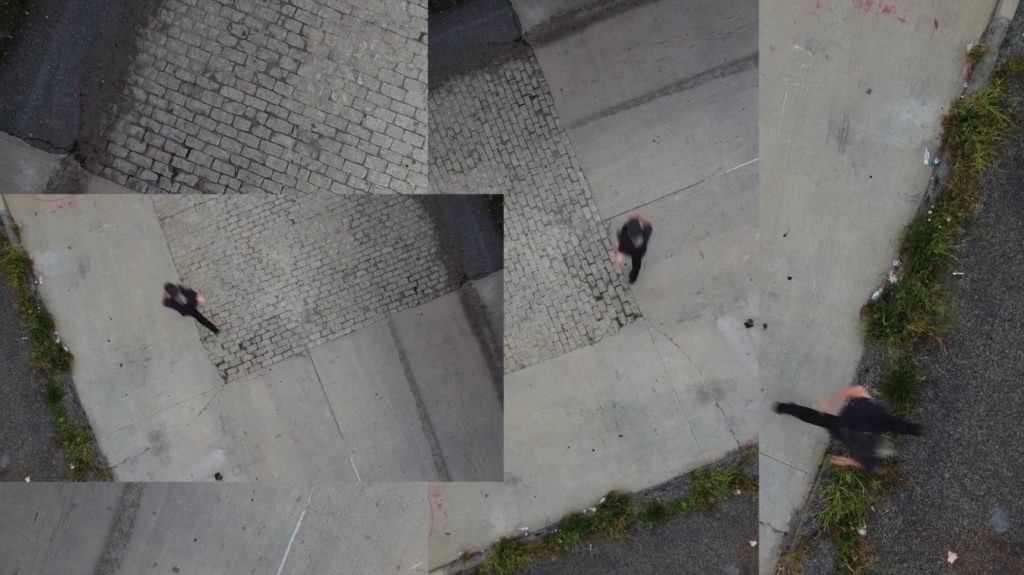 Rabbidity Rules Music Video – Cj Projects